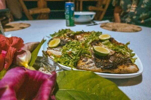 Is the Solomon Islands Worth Visiting in 2026?